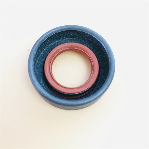 news - Circulating pump oil seal 919772: The Pioneer Guarding the Pump ...